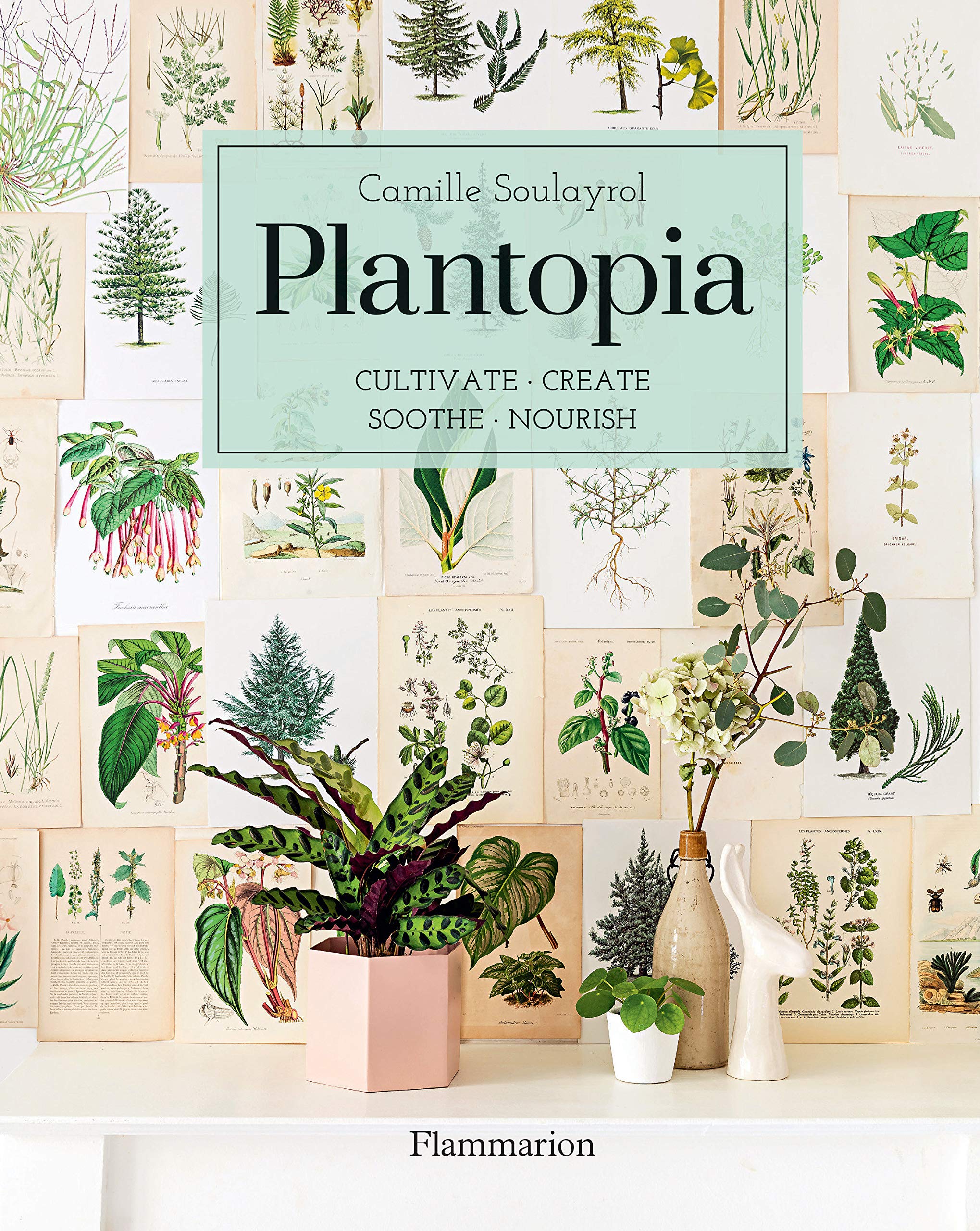 Plantopia | Wild Blossom Hollow | Floriculture Design Studio in ...