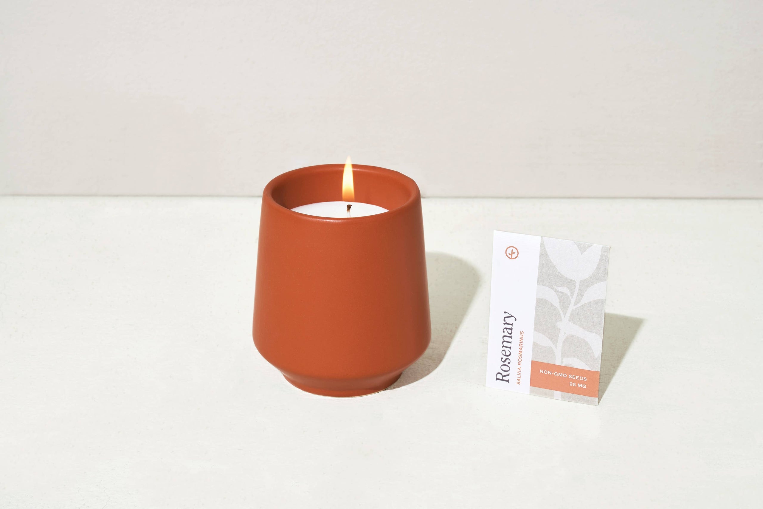 Modern Sprout - Rooted Candle - Rosemary & Cedar | Wild Blossom Hollow ...