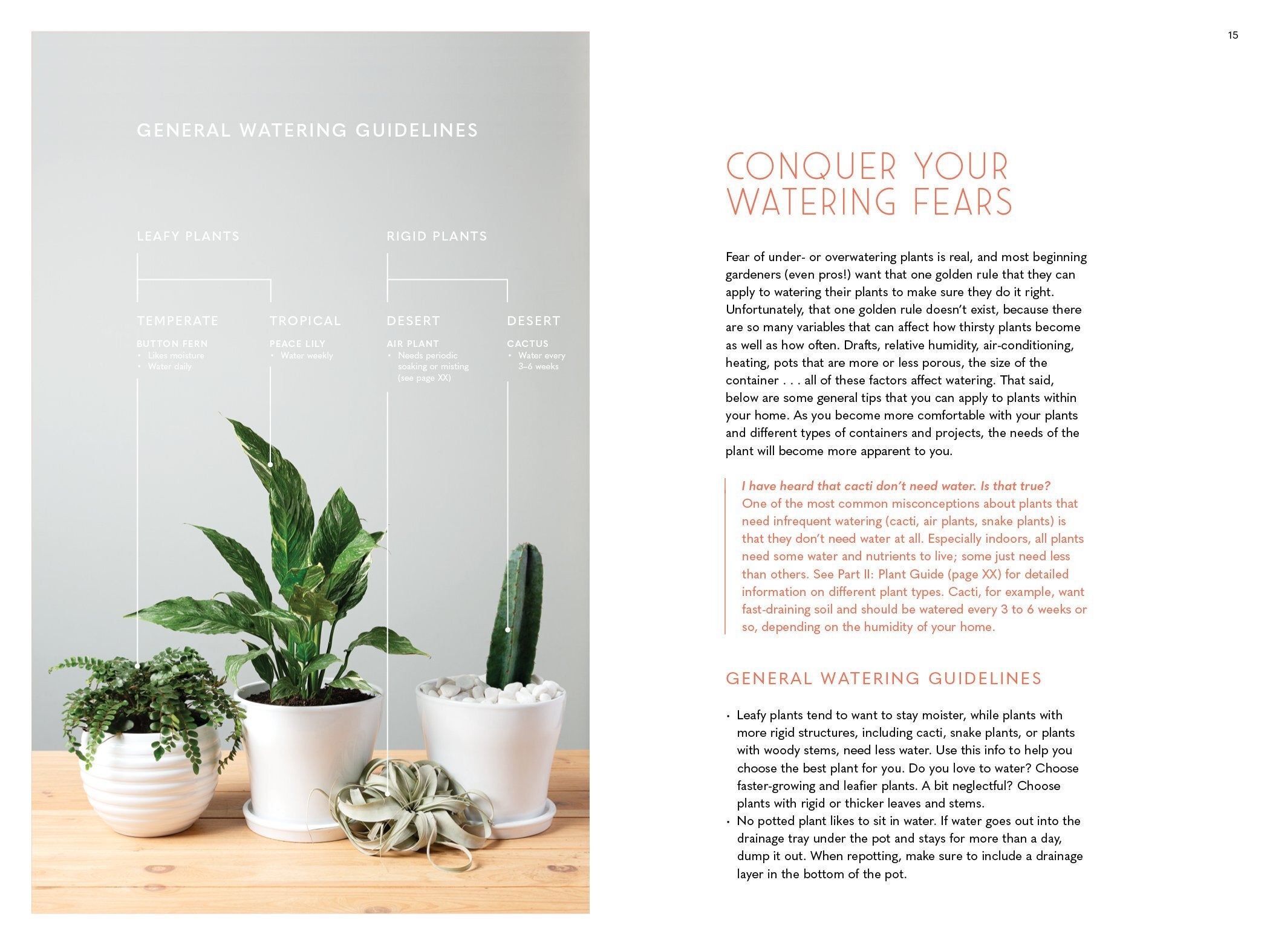 The Inspired House Plants | Wild Blossom Hollow | Floriculture Design ...